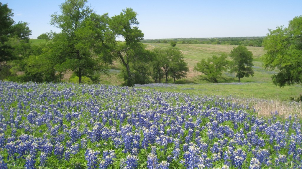 Seasons – Spring 2013 – Plateau Land & Wildlife Management