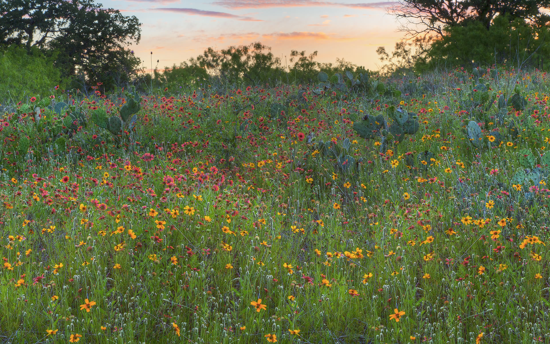 Plateau Land & Wildlife Management - Plateau Land & Wildlife Management